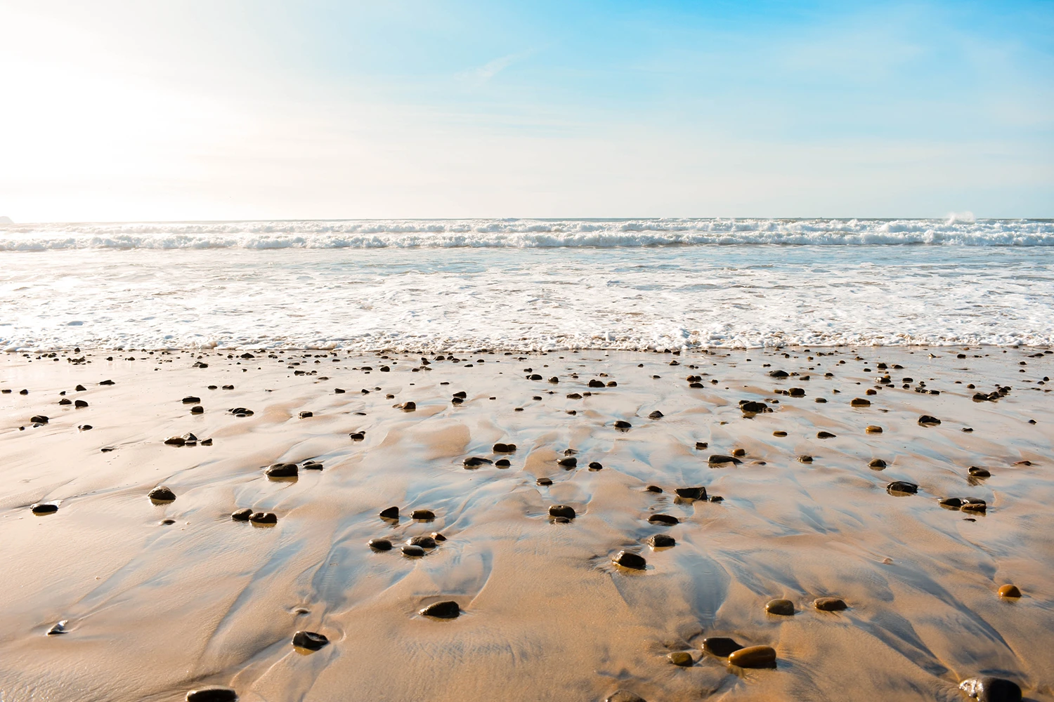Playas de Tijuana Development Threatens Wetland, Faces Two Lawsuits ...