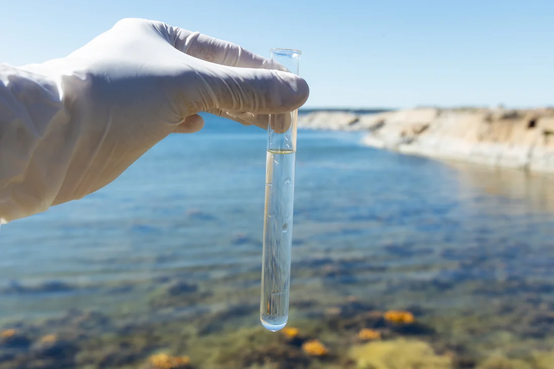 Ensenada Launches Real-Time Beach Water Quality Dashboard - Baja Daily News